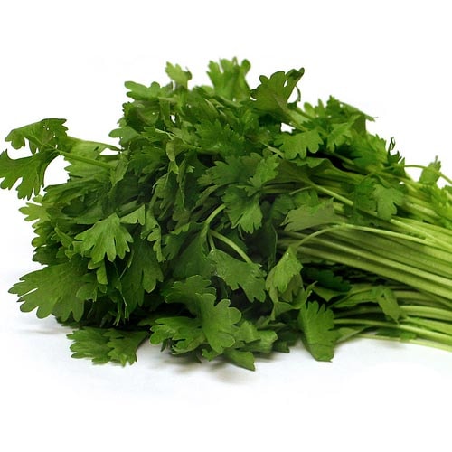 Σέλινα - Γενικές Πληροφορίες - Isofruit