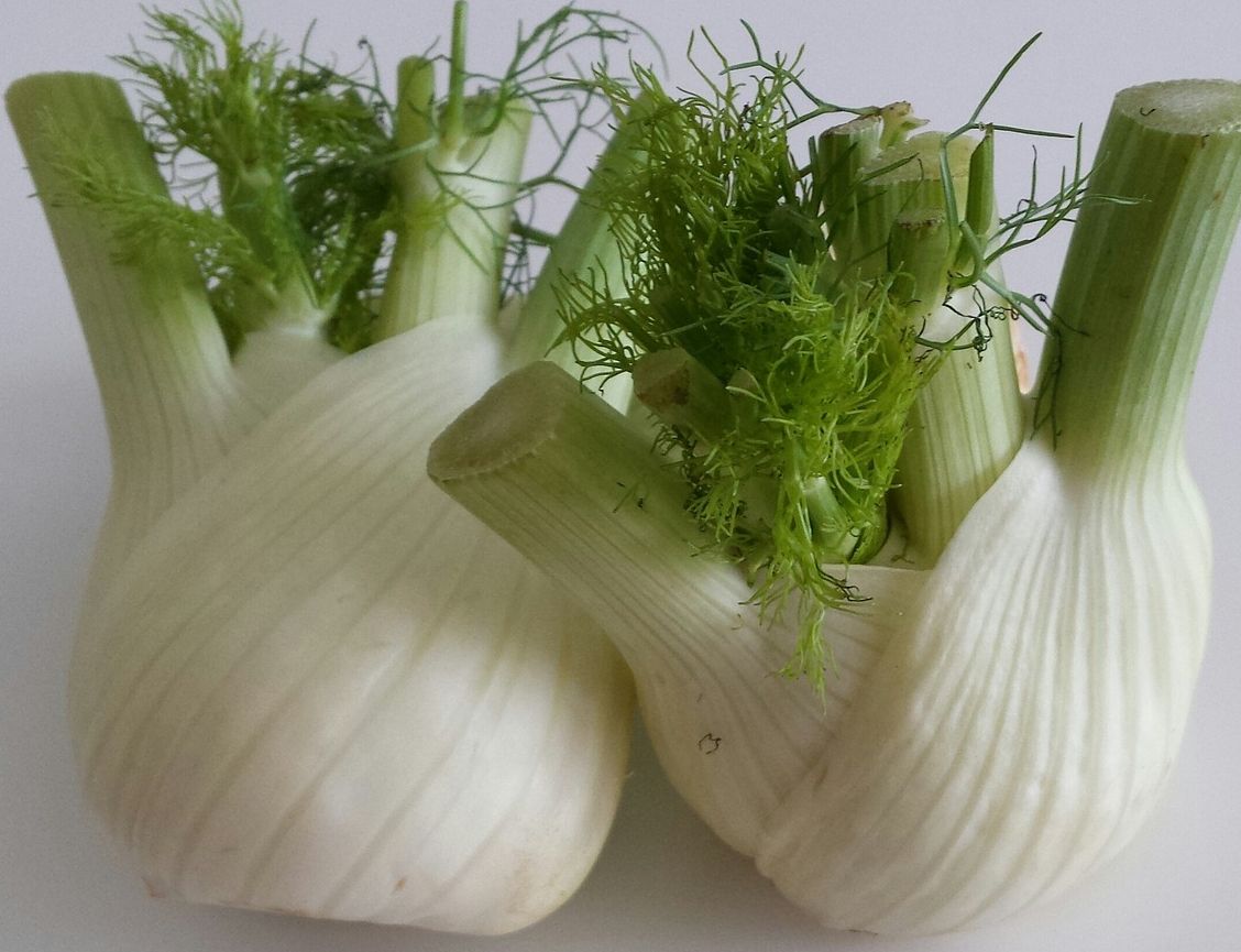 Φινόκιο - Γενικές Πληροφορίες - Isofruit